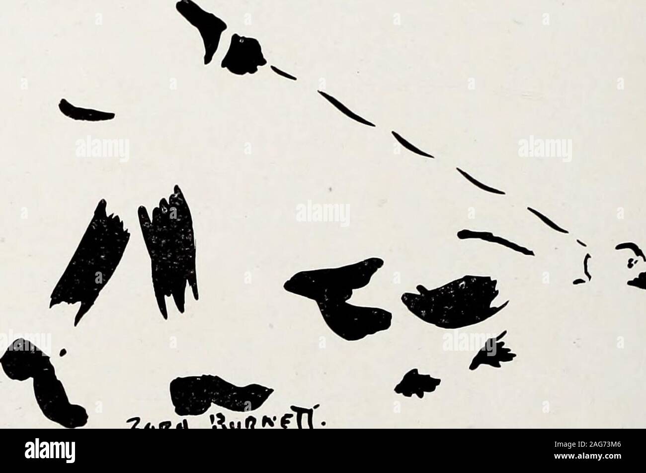 Supercilious person hi-res stock photography and images - Alamy