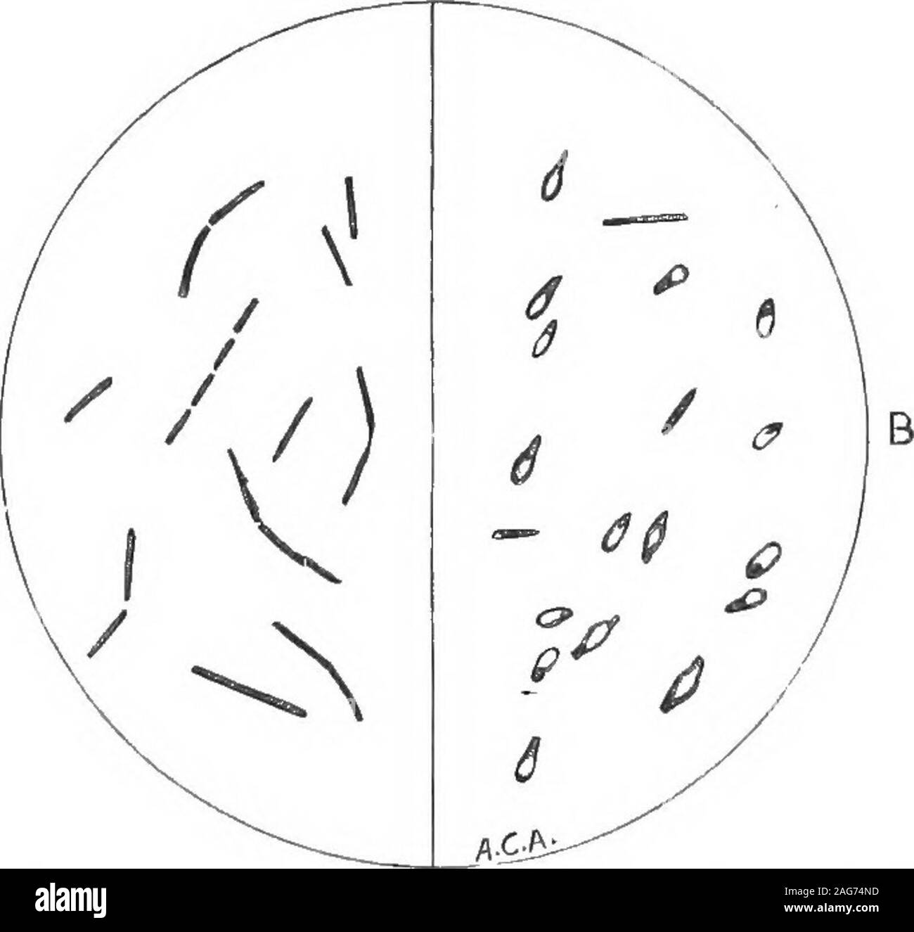 áreas de color Black and White Stock Photos & Images - Alamy