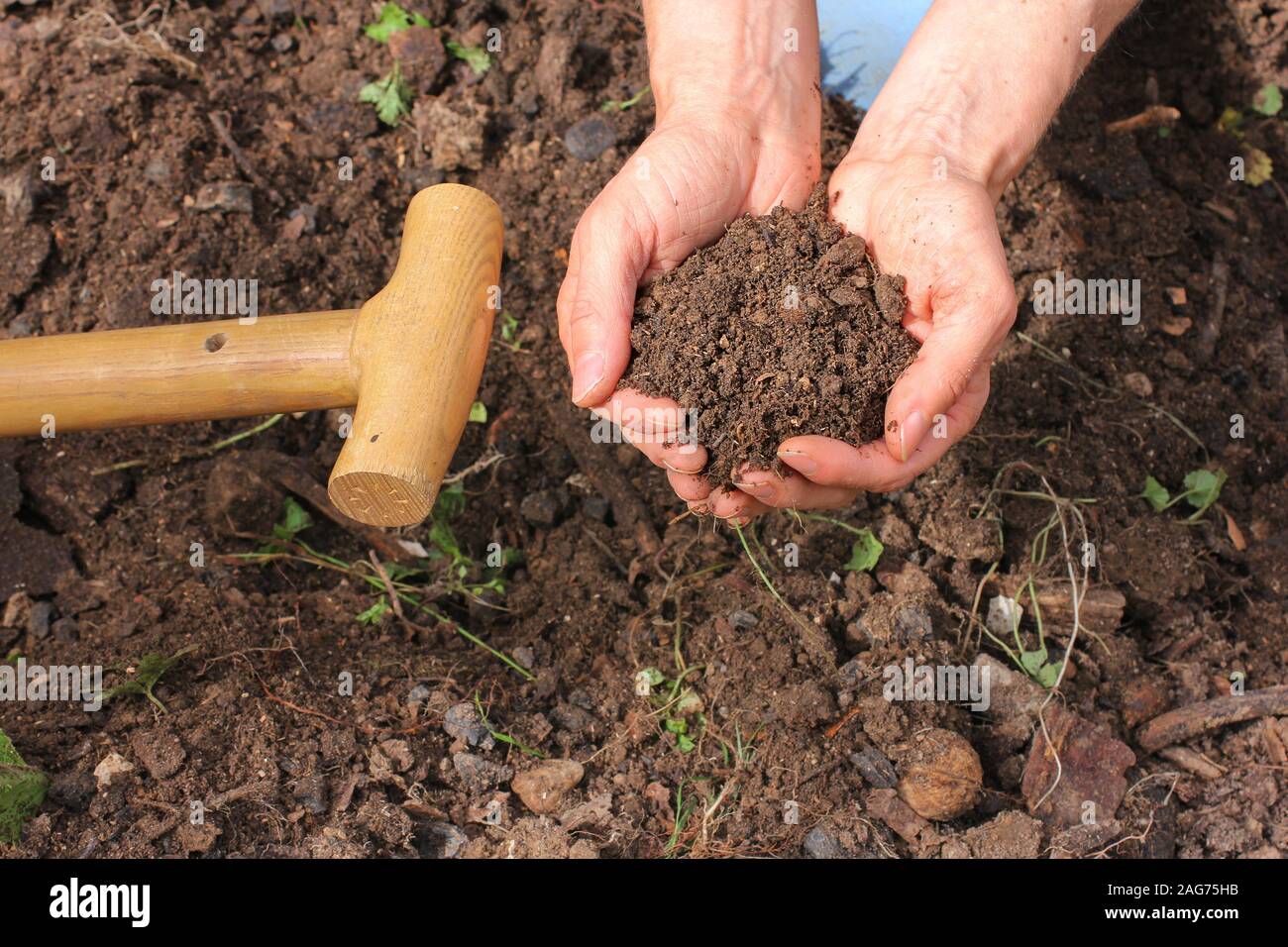 Compost hands plant hi-res stock photography and images - Alamy