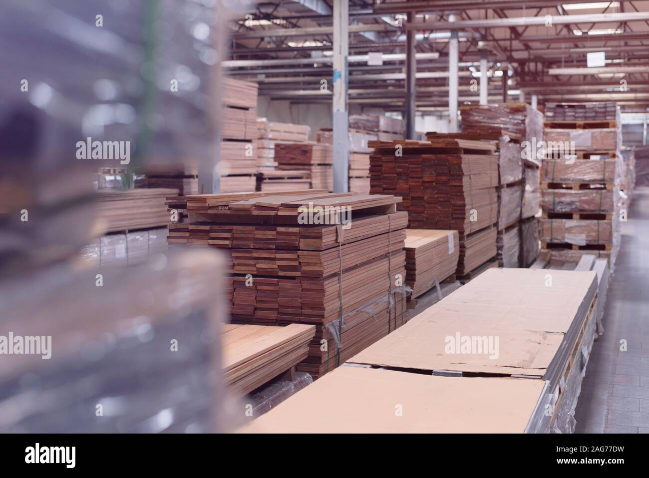 Production line of the wooden floor factory. Warehouse of boards in the ...