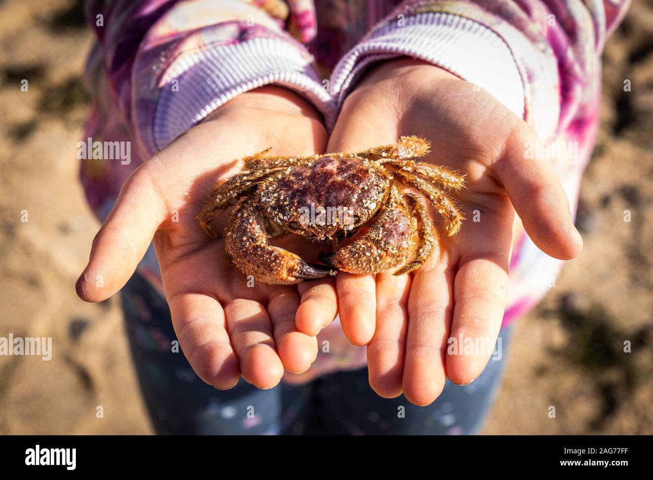 Crab girls hi-res stock photography and images - Alamy