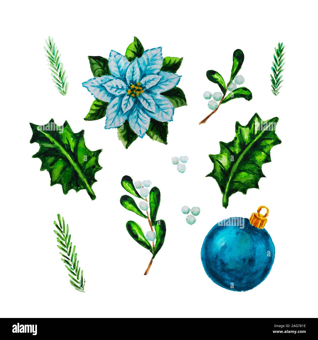 Blue mistletoe hi-res stock photography and images - Alamy