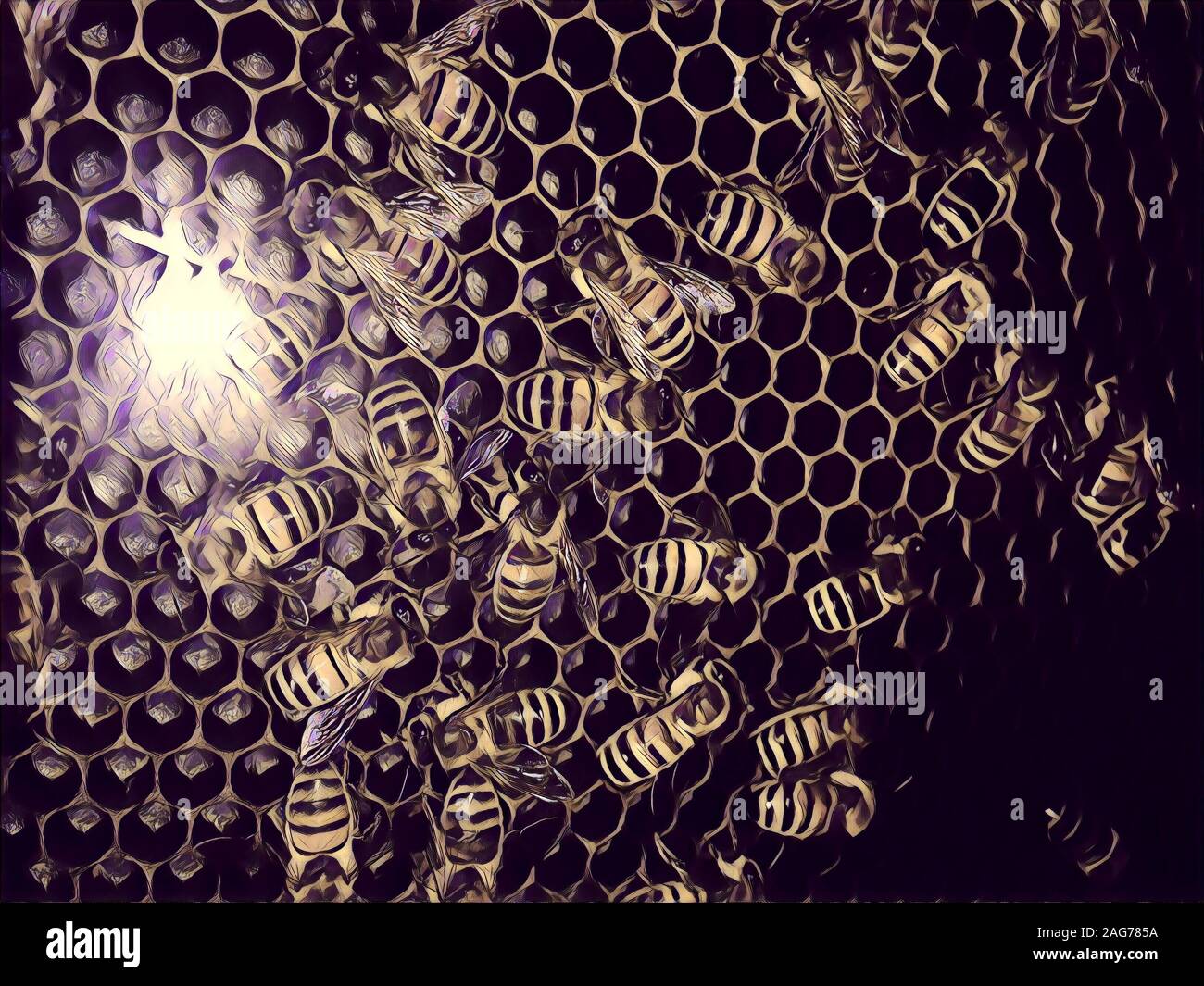 Swarm of bees cartoon hi-res stock photography and images - Alamy