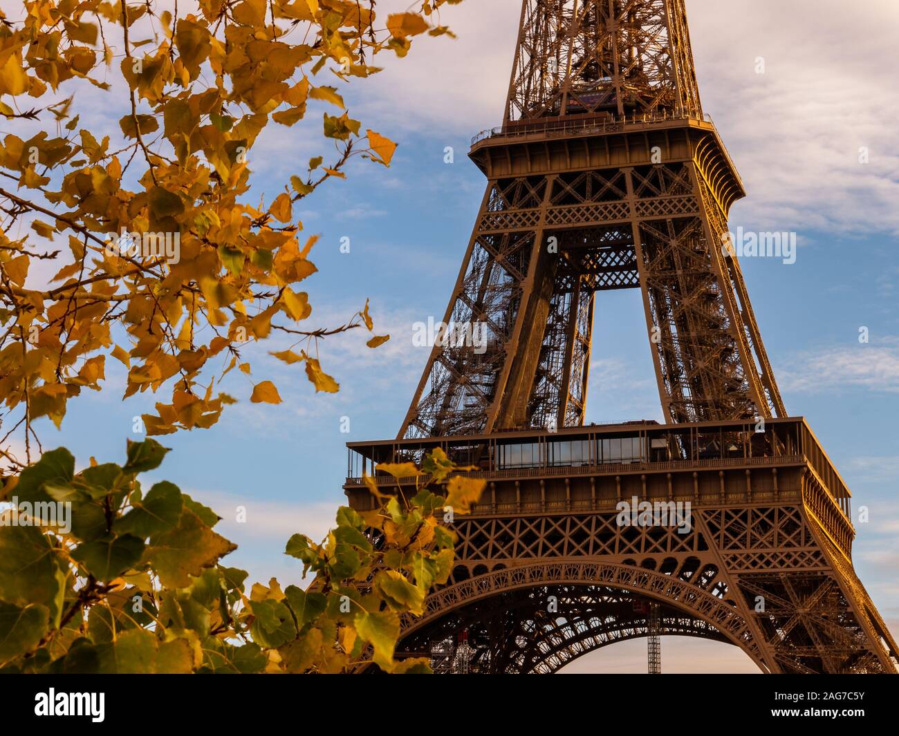 Eiffel tower with autumn leaves in Paris, France Stock Photo - Alamy
