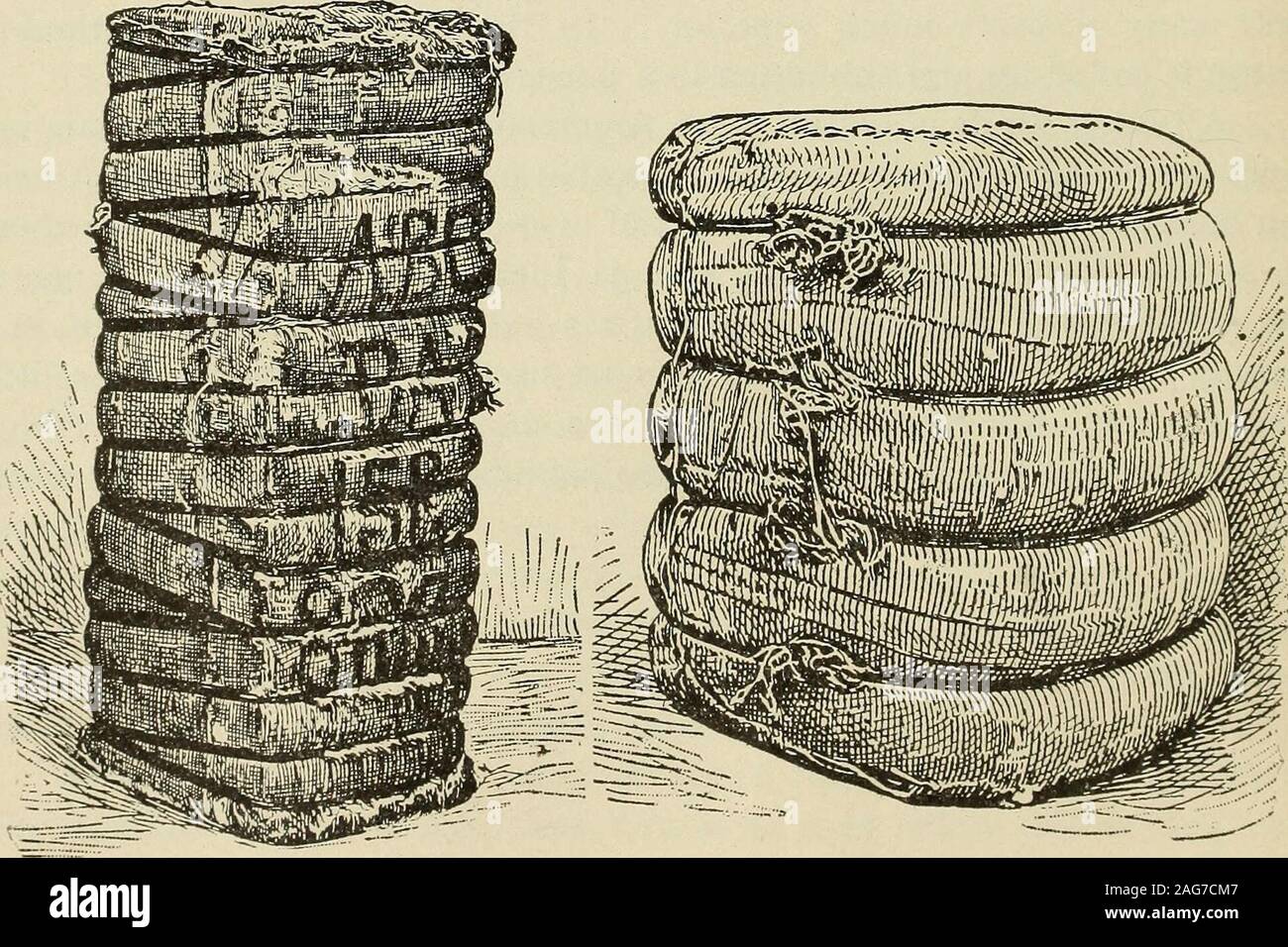 . The principles and processes of cotton yarn manufacture. Ainerioan ...