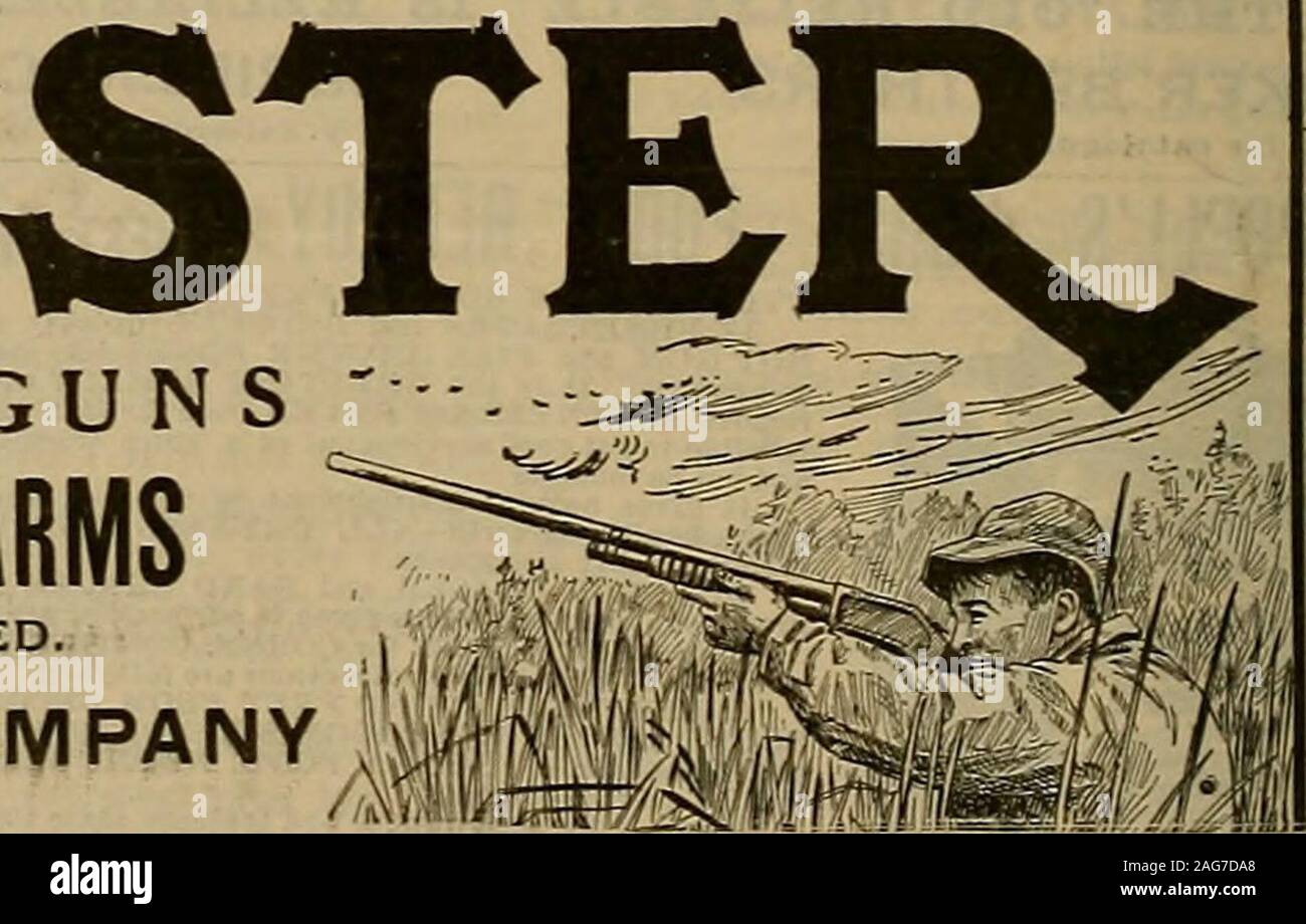 . Breeder and sportsman. REPEATING SHOT GUNS WINCHESTER AMMUNITION AND ...