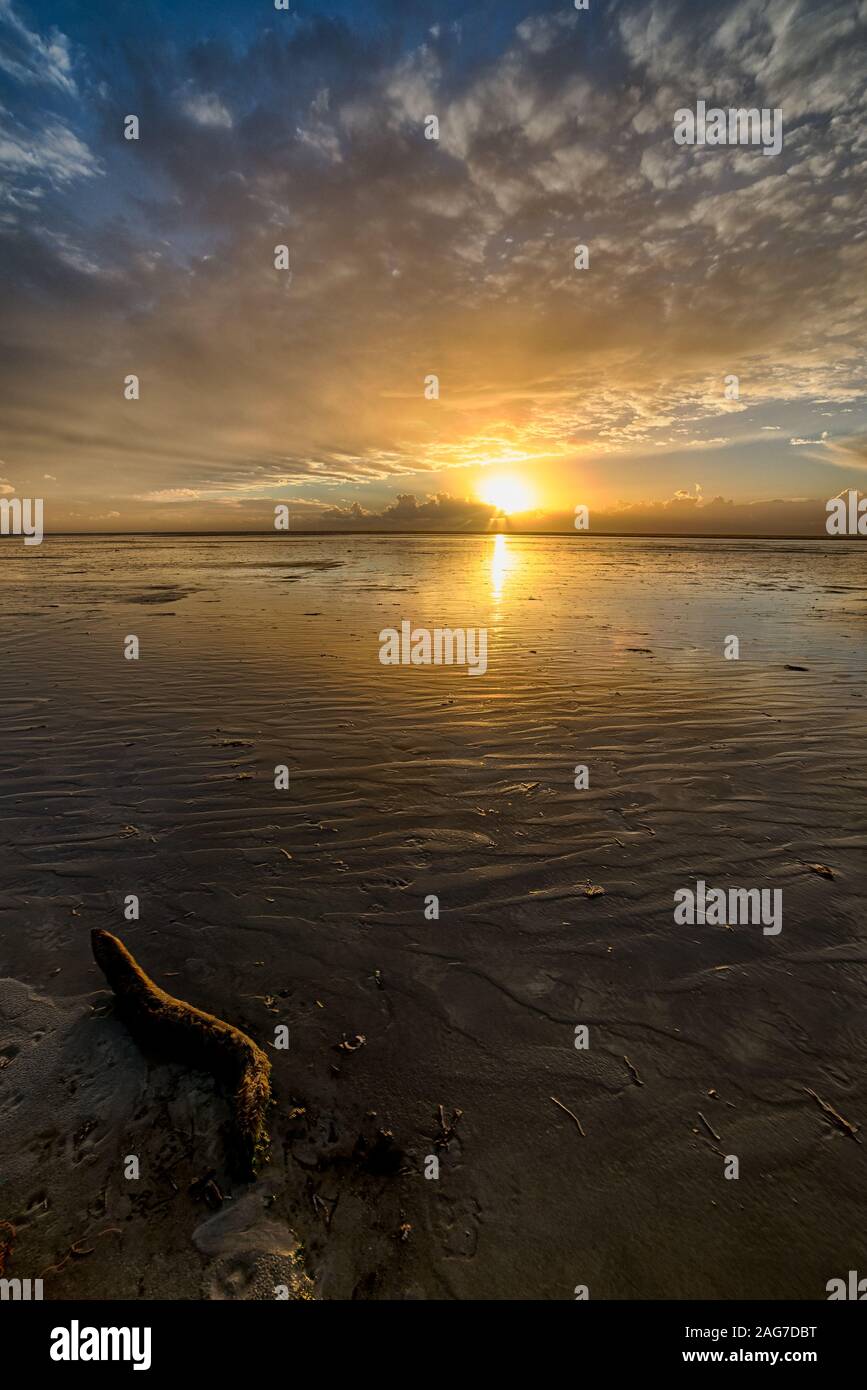 Vertical shot of a beautiful sunset at the beach creating the perfect ...