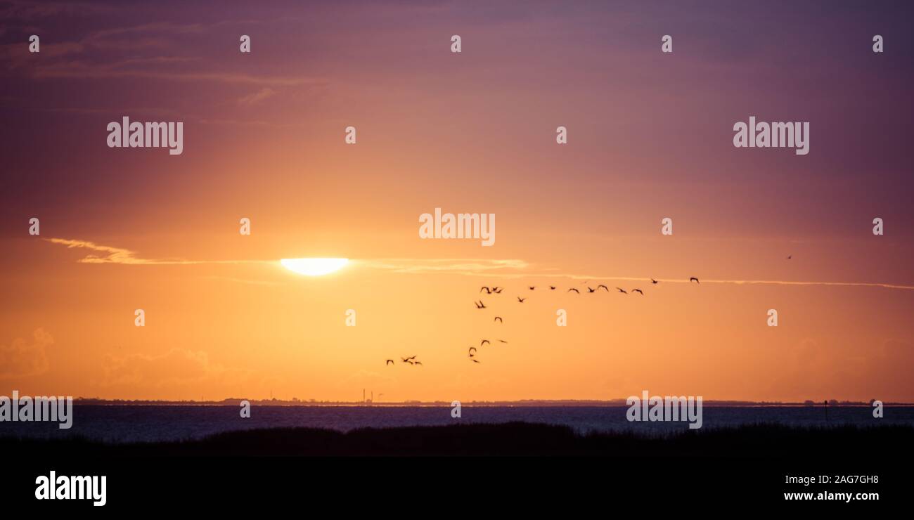Beautiful shot of flying into the sunset creating the perfect evening ...