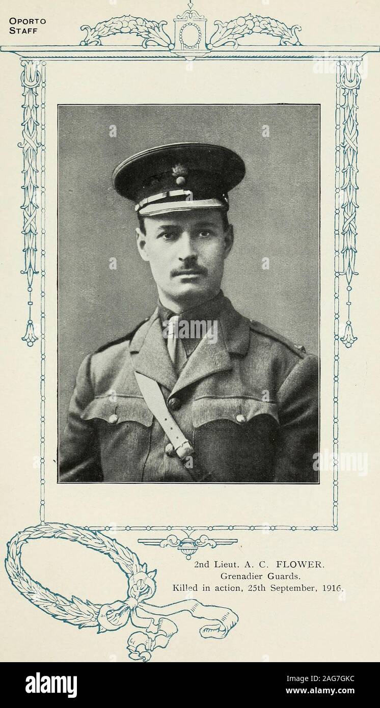 Battle of ginchy hi-res stock photography and images - Alamy