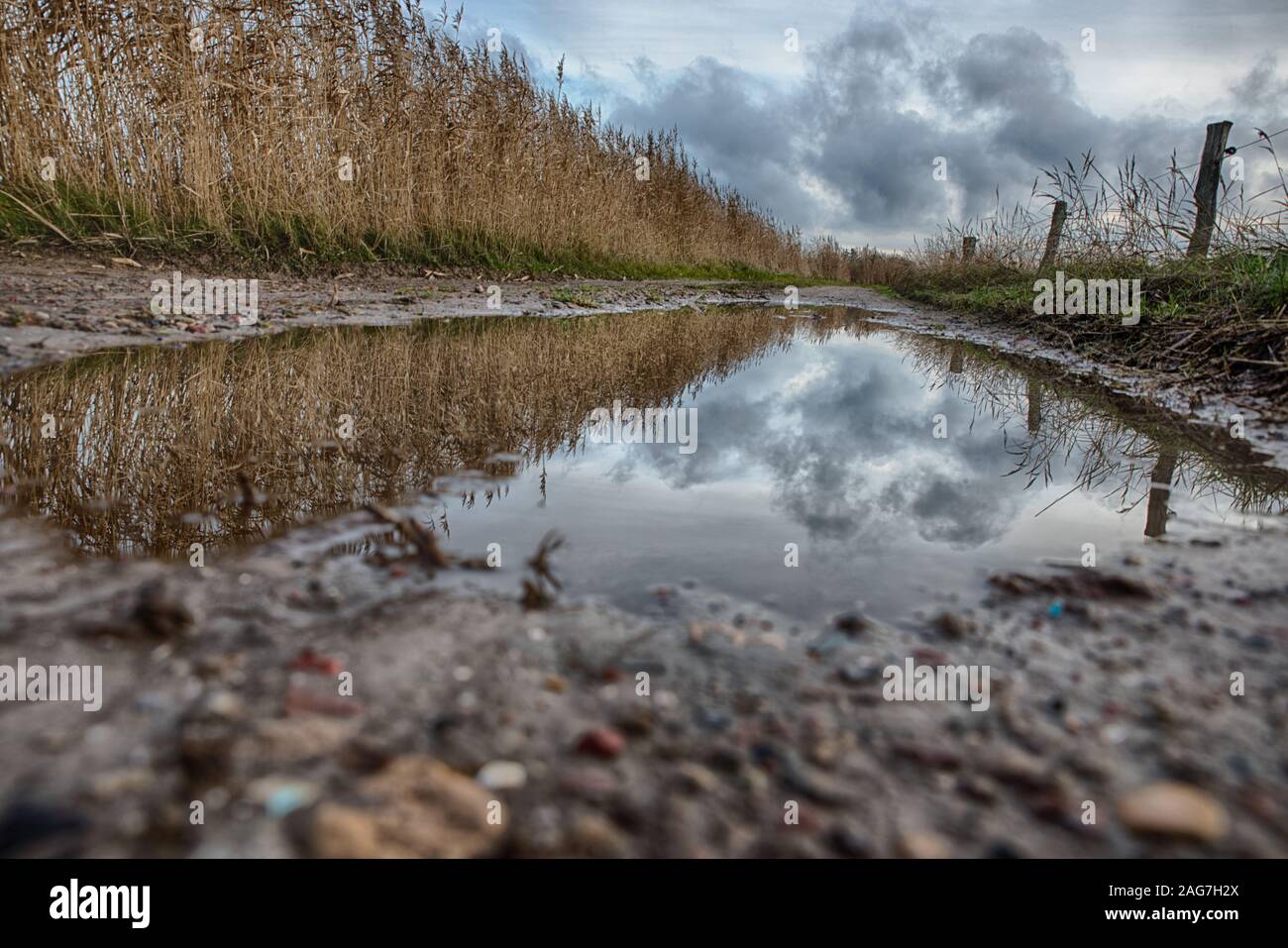 Low angle shot of the clouds reflecting in the pond in the middle of a ...