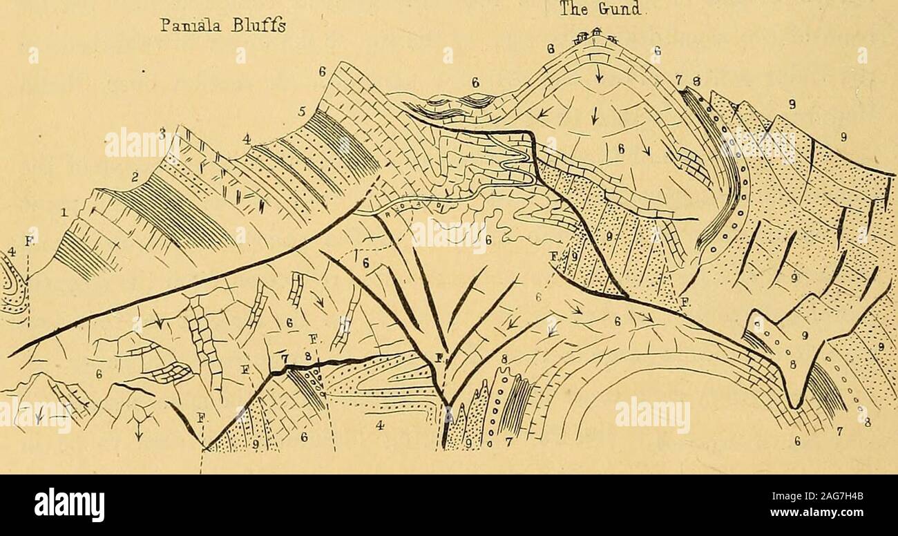 Paniala hi-res stock photography and images - Alamy