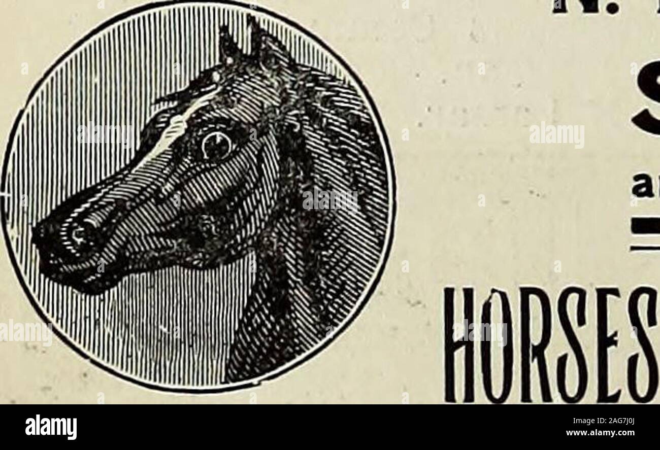 Sam Holbrook High Resolution Stock Photography and Images - Alamy