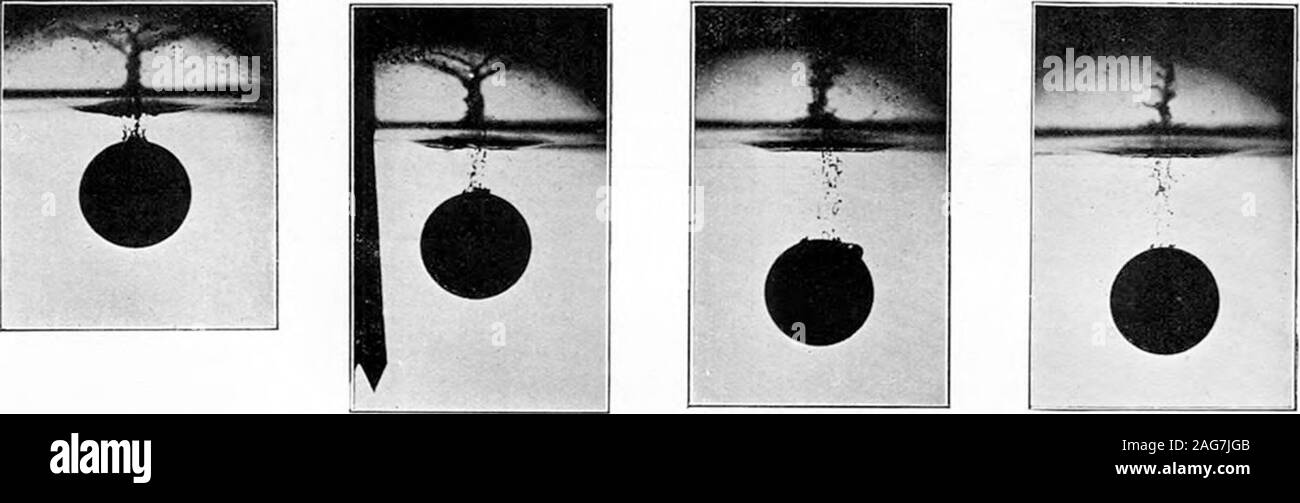 . Impact with a Liquid Surface Studied by the Aid of Instantaneous ...
