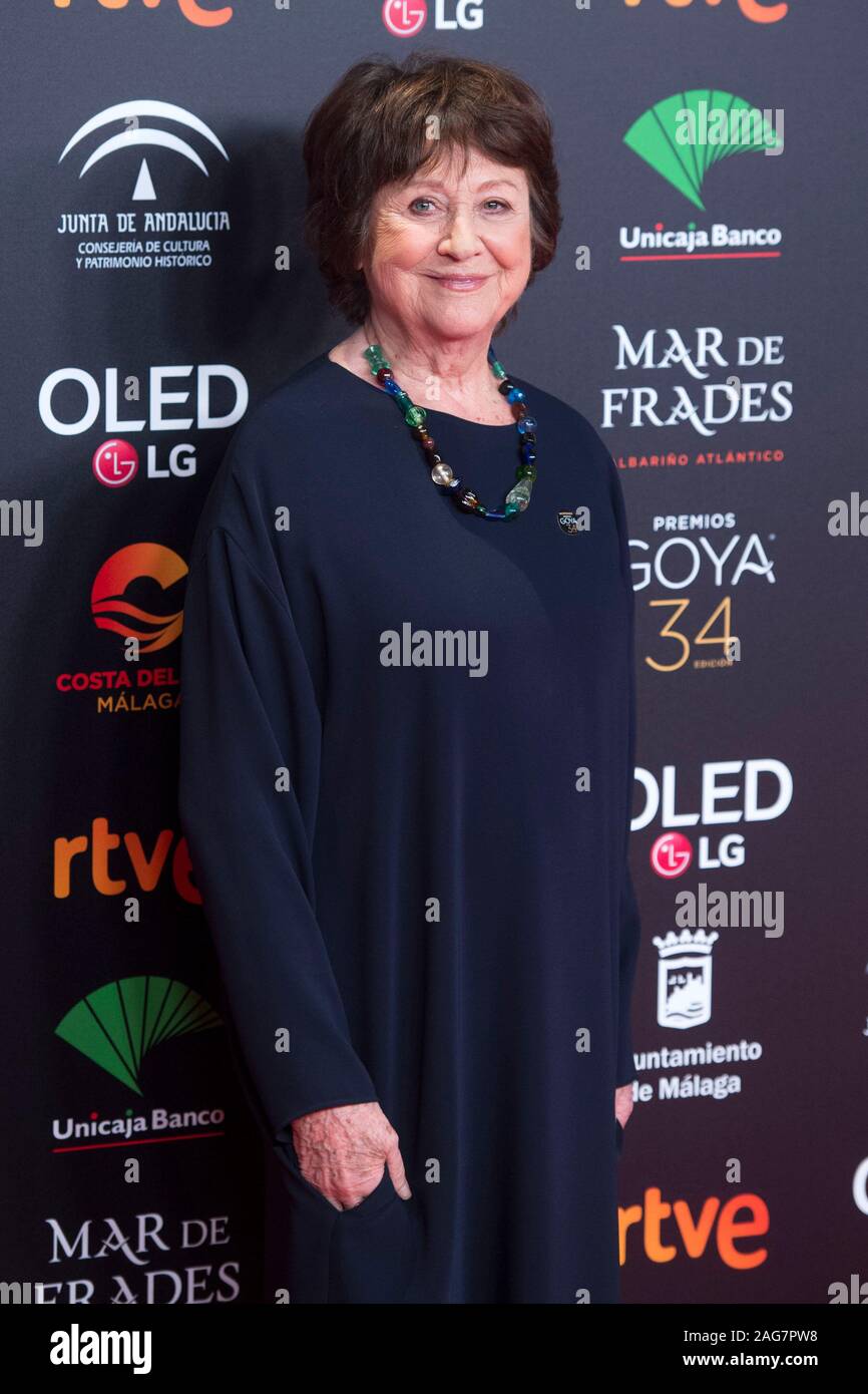 Julieta Serrano at the nominees party for the 34th Goya Film Awards ...