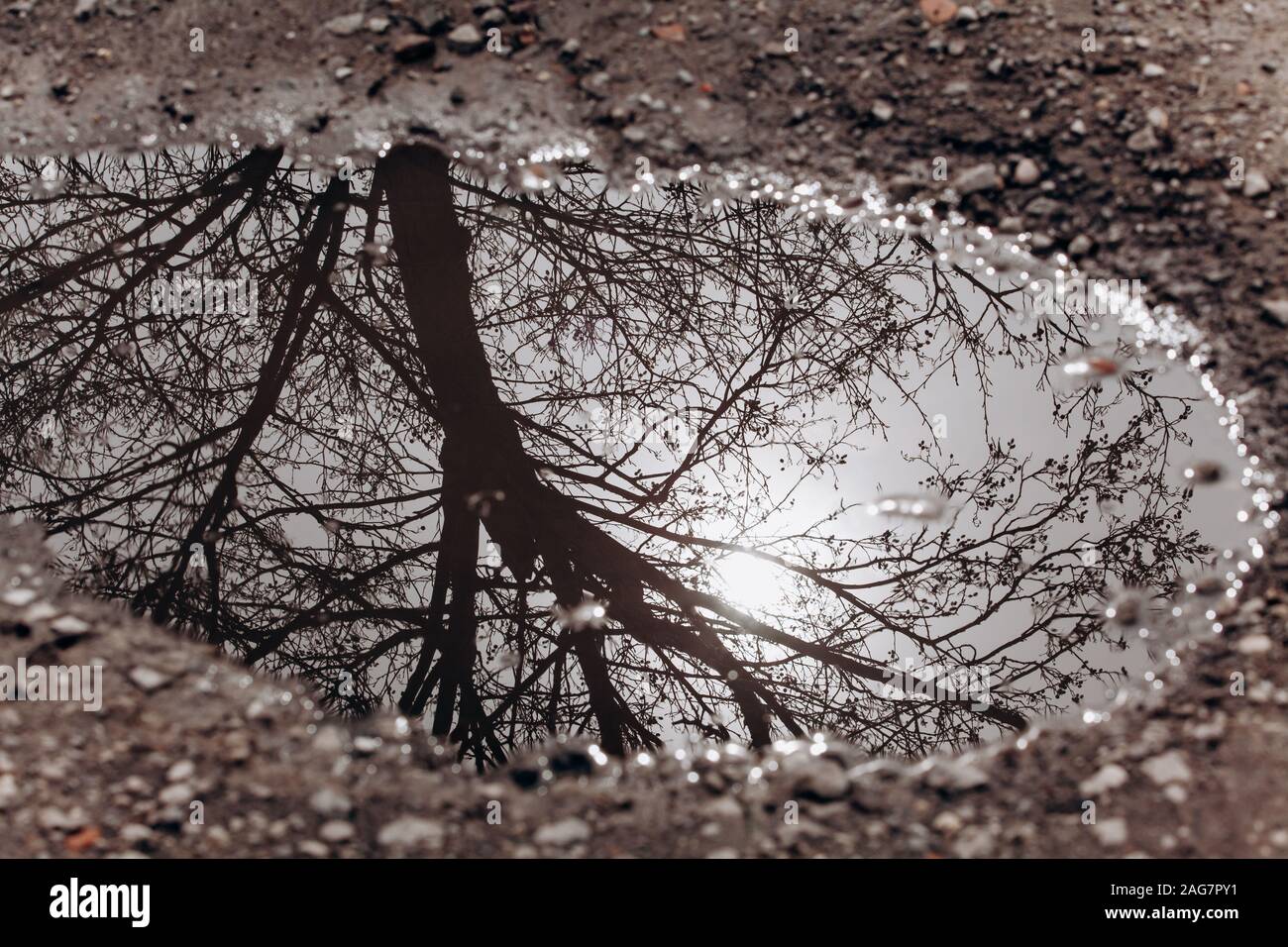 Big pothole filled with water, tree and clouds reflection Stock Photo ...