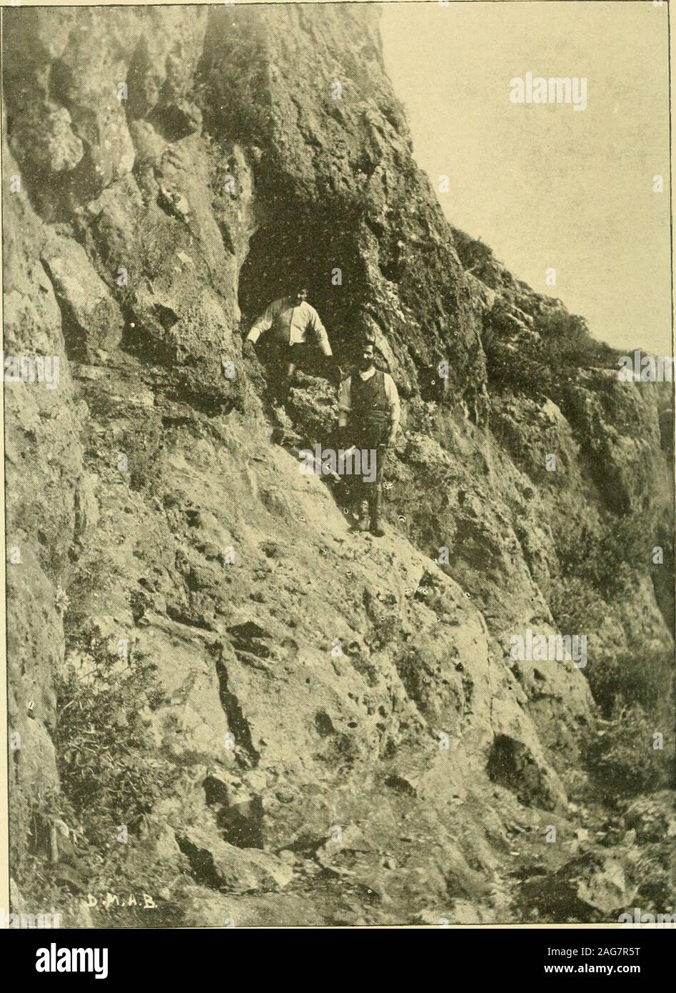 . Geological magazine. re and Hind) illustratingthe descent of the ...