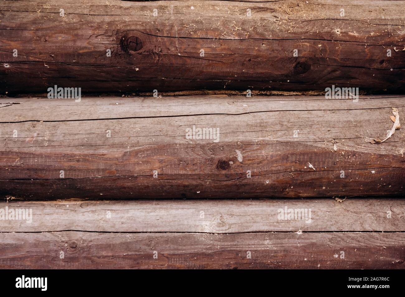 Wooden logs wall of rural house background. The texture of the logs ...