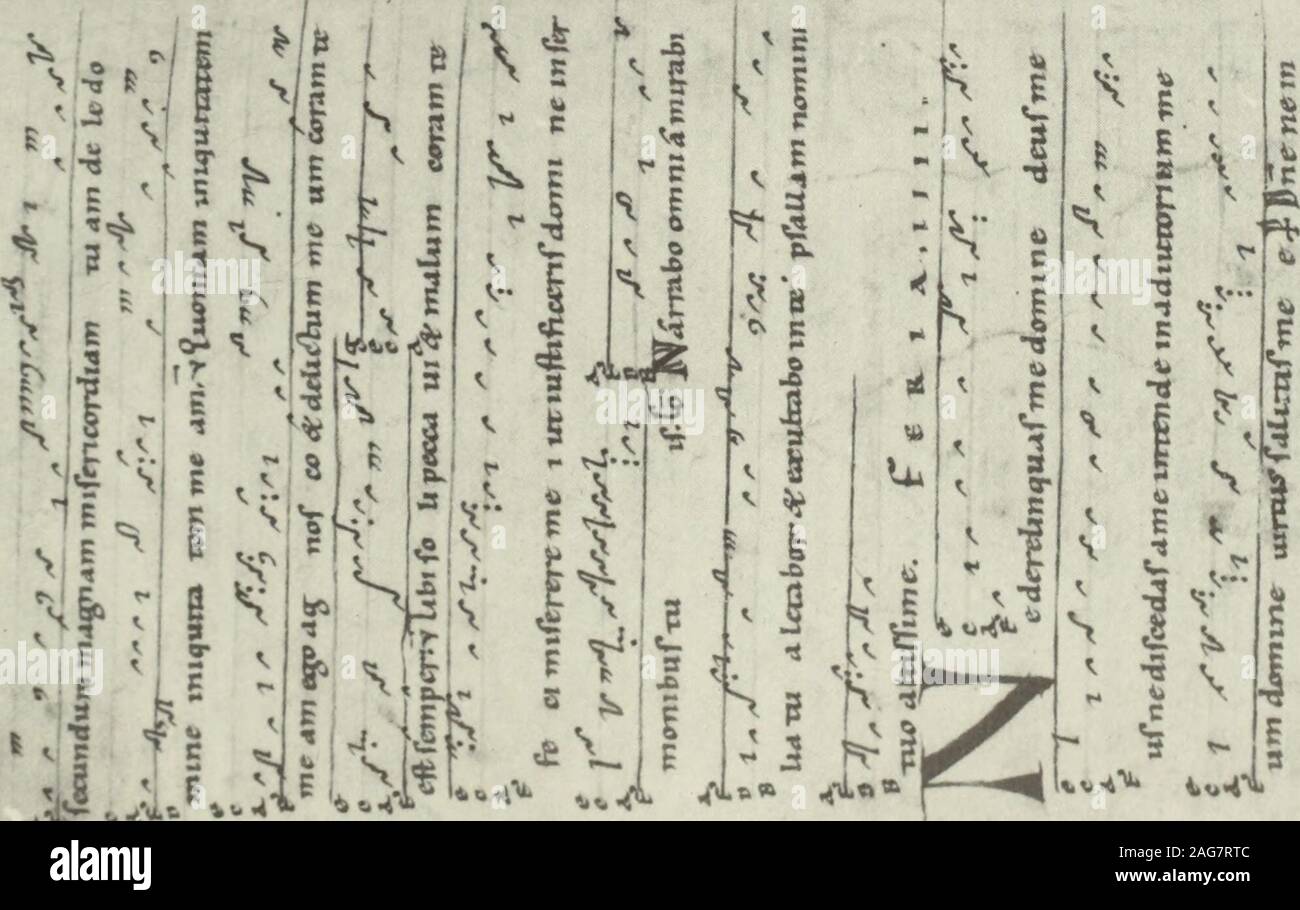 S gallican hi-res stock photography and images - Alamy