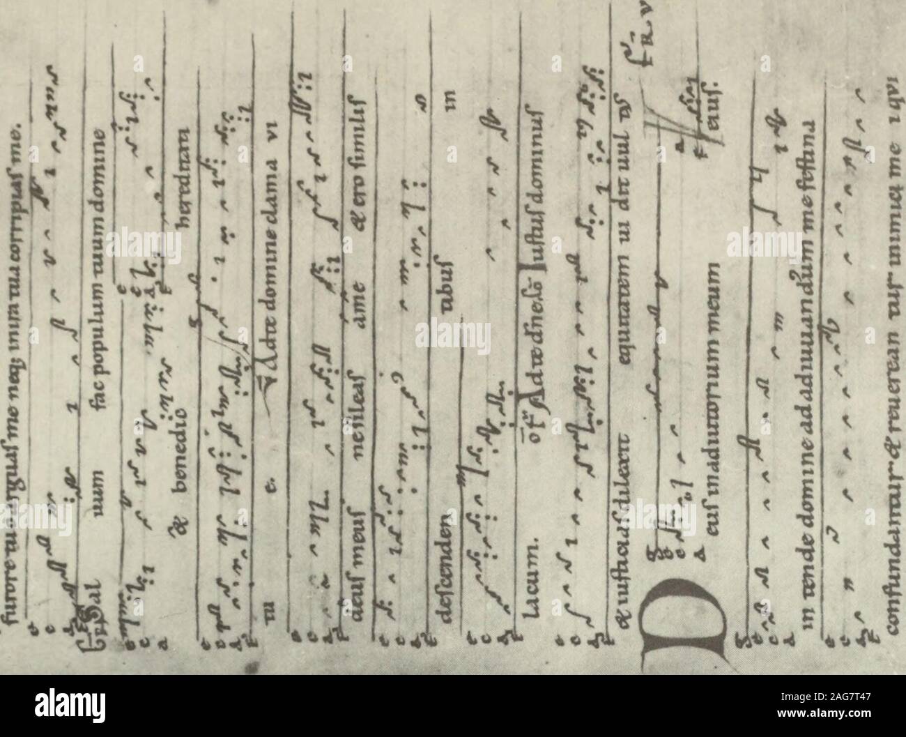 S gallican hi-res stock photography and images - Alamy