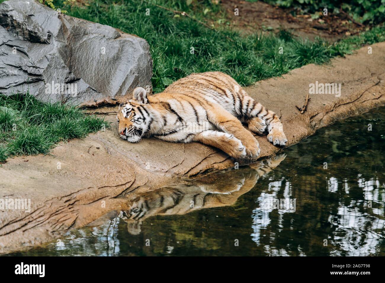 Aggressive waterfall hi-res stock photography and images - Alamy