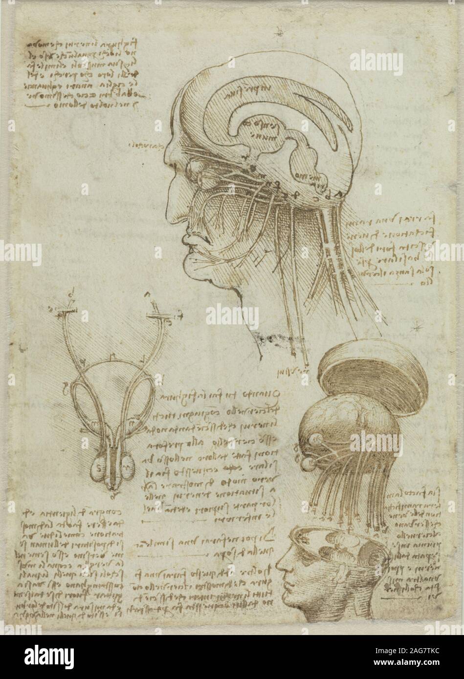 Anatomical drawings hi-res stock photography and images - Alamy