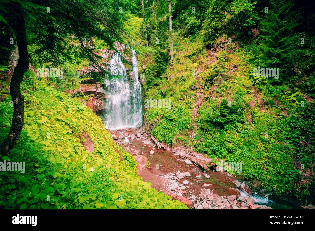 Park of waterfalls Mendeliha. Forest river and waterfall. Sochi. Rosa ...