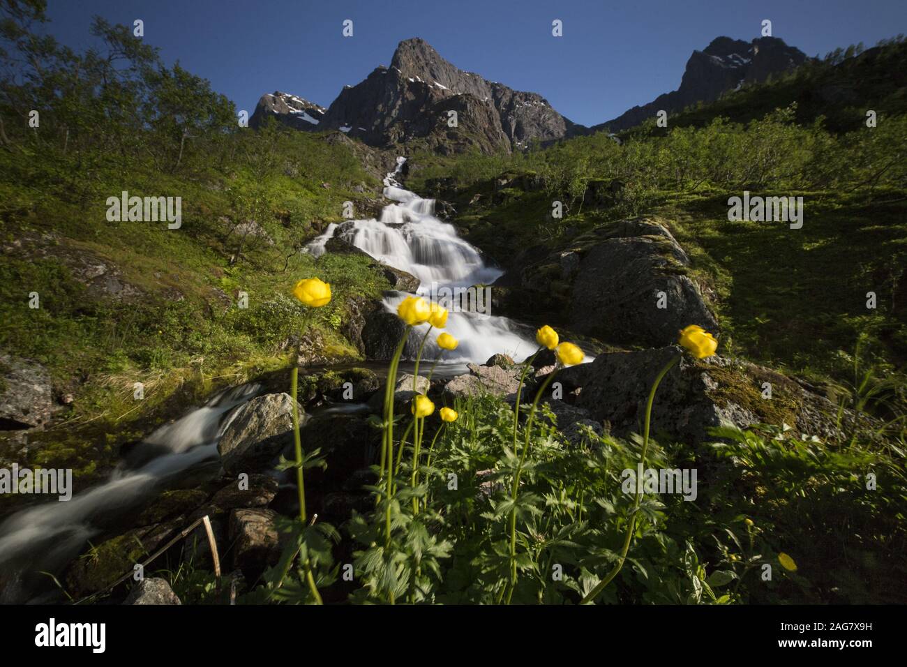 Beautiful scenery of a waterfall flowing in a greenfield surrounded by ...
