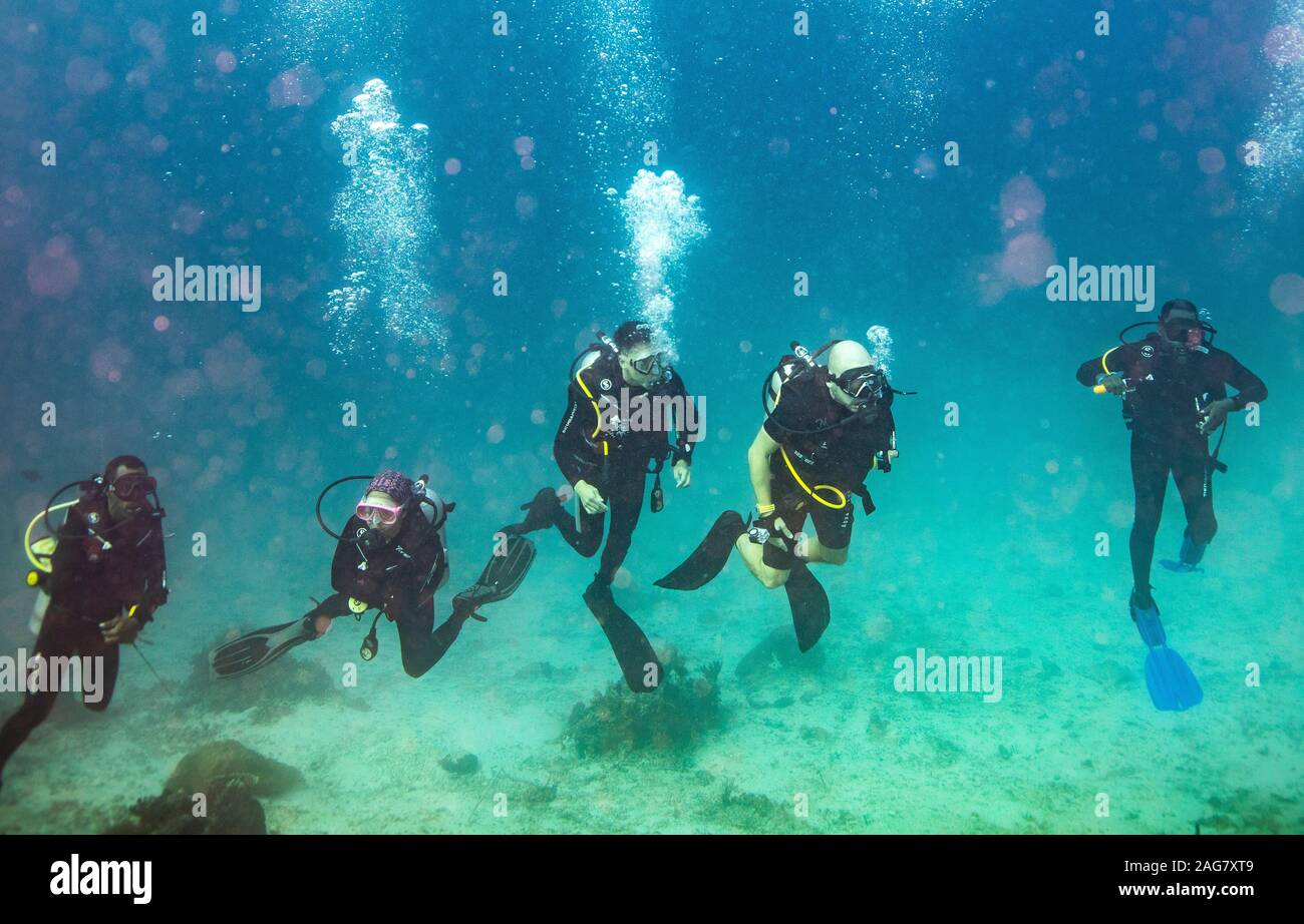 Scuba team hi-res stock photography and images - Alamy