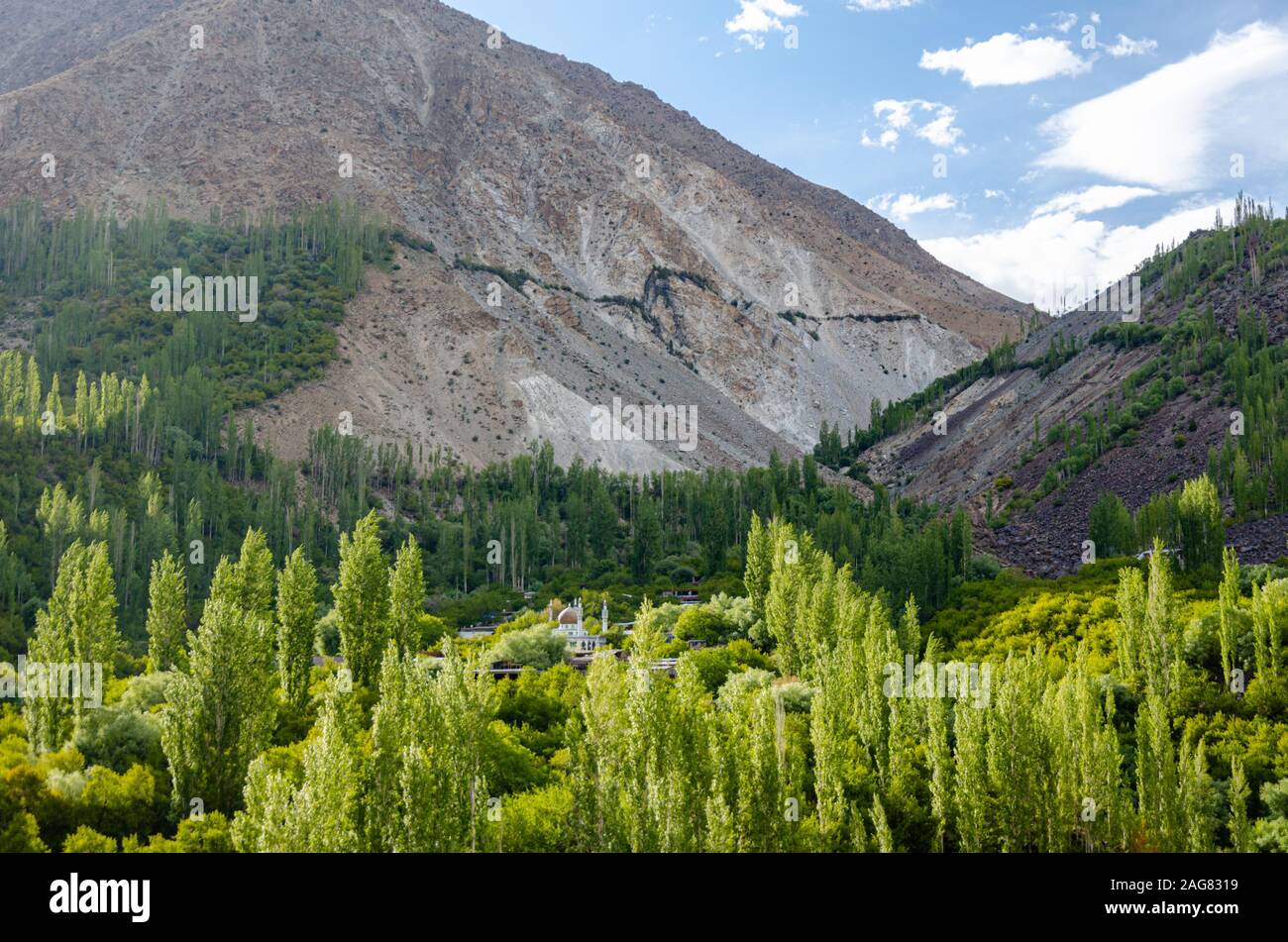 Patch greenery hi-res stock photography and images - Alamy