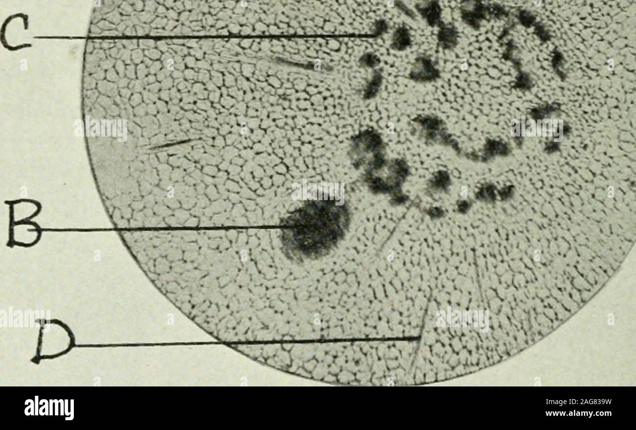 Long narrow section hi-res stock photography and images - Alamy