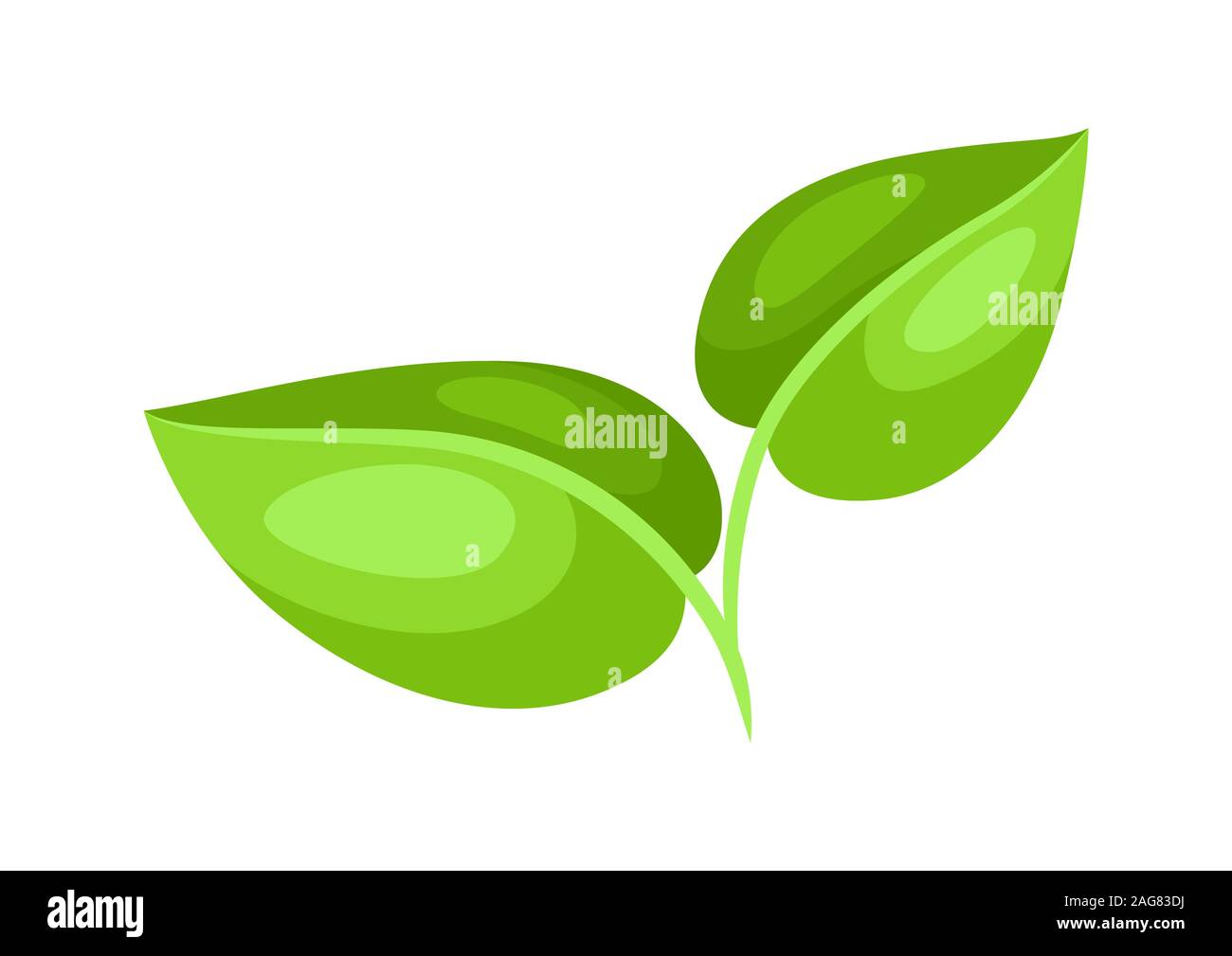 Illustration of sprig with green leaves Stock Vector Image & Art - Alamy