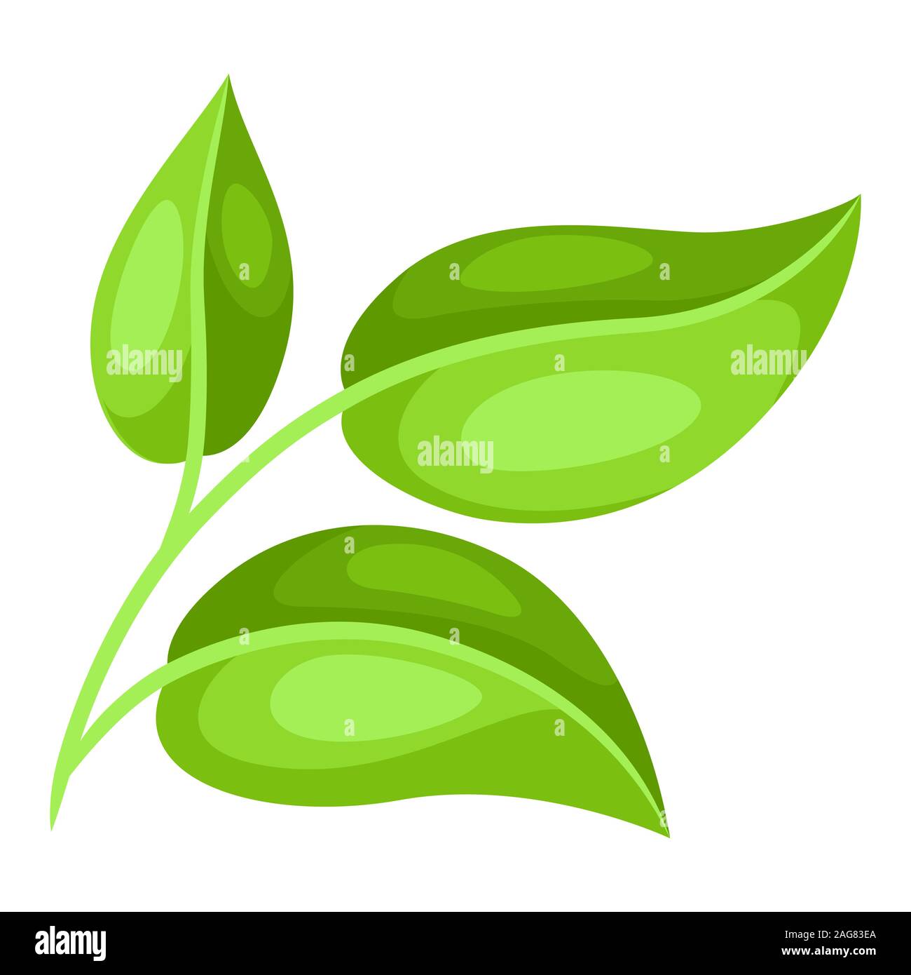 Illustration of sprig with green leaves Stock Vector Image & Art - Alamy