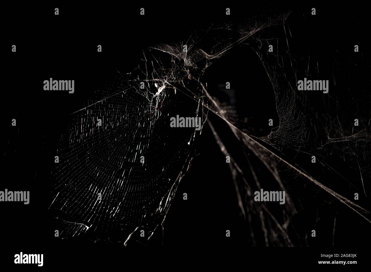 Grayscale shot of an abstract spider web on black background Stock ...