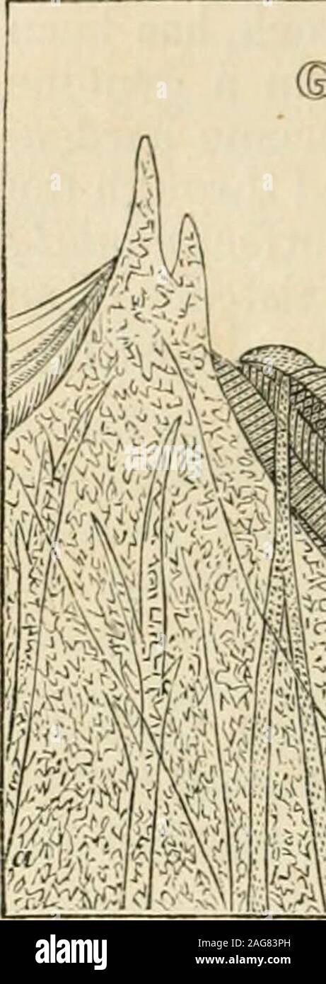 Thousand feet high hi-res stock photography and images - Alamy