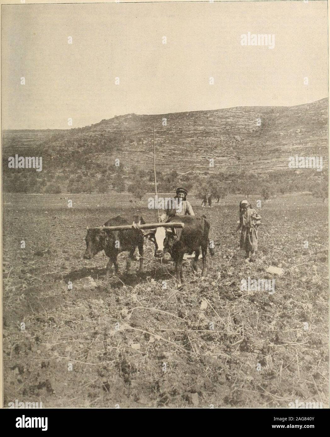 Bethel in canaan hi-res stock photography and images - Alamy