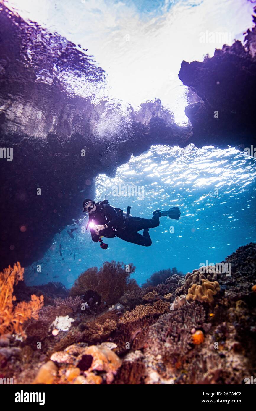 PADI Scuba diver diving in coral reef Raja Ampat, Indonesia Stock Photo ...