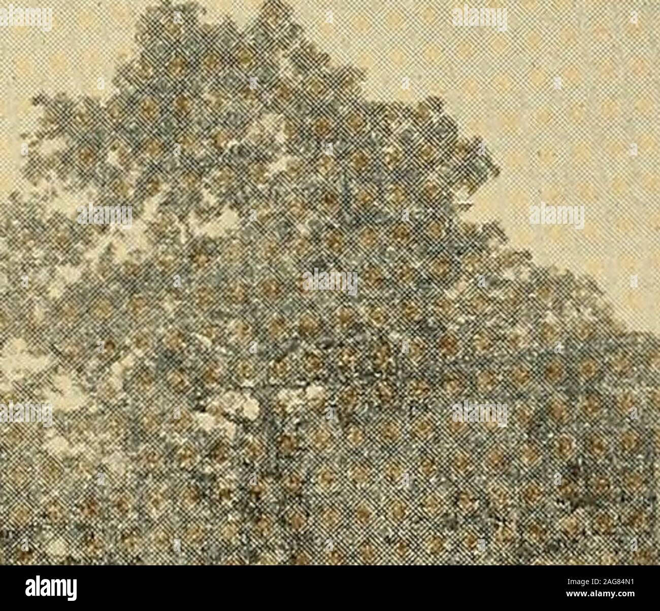 . Clarke County, Ga. and the city of Athens Stock Photo - Alamy