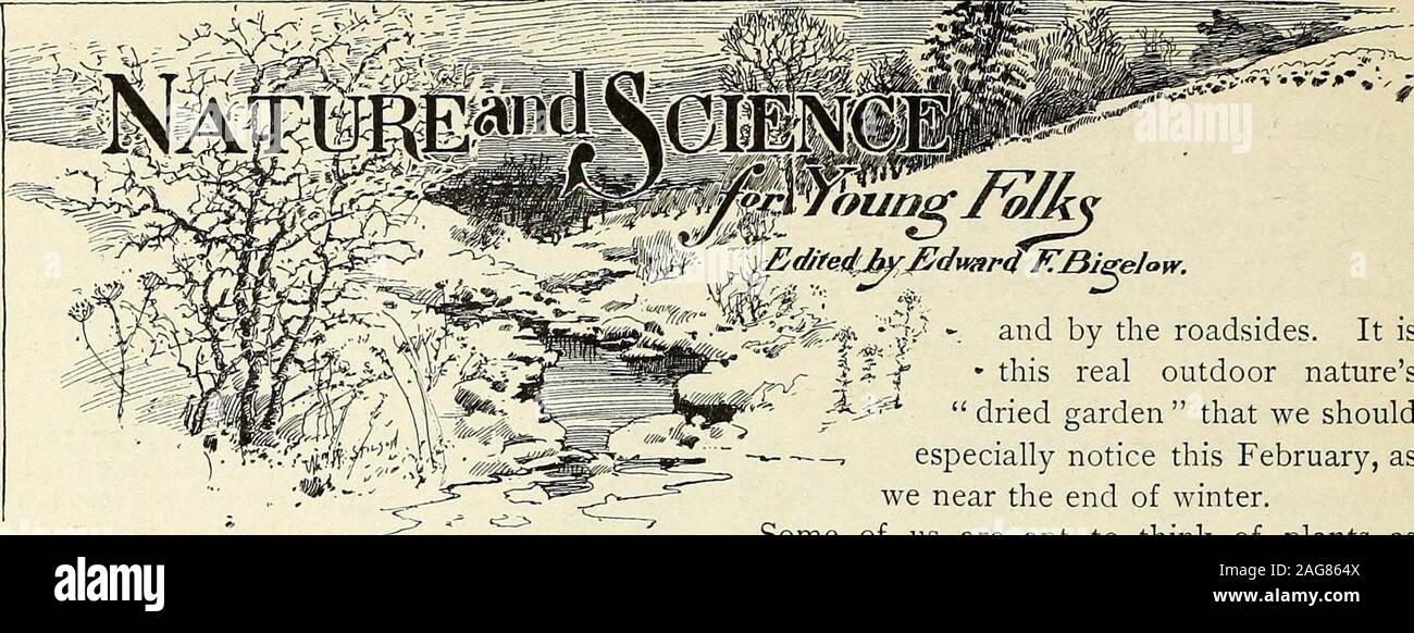 Polly prince hi-res stock photography and images - Alamy