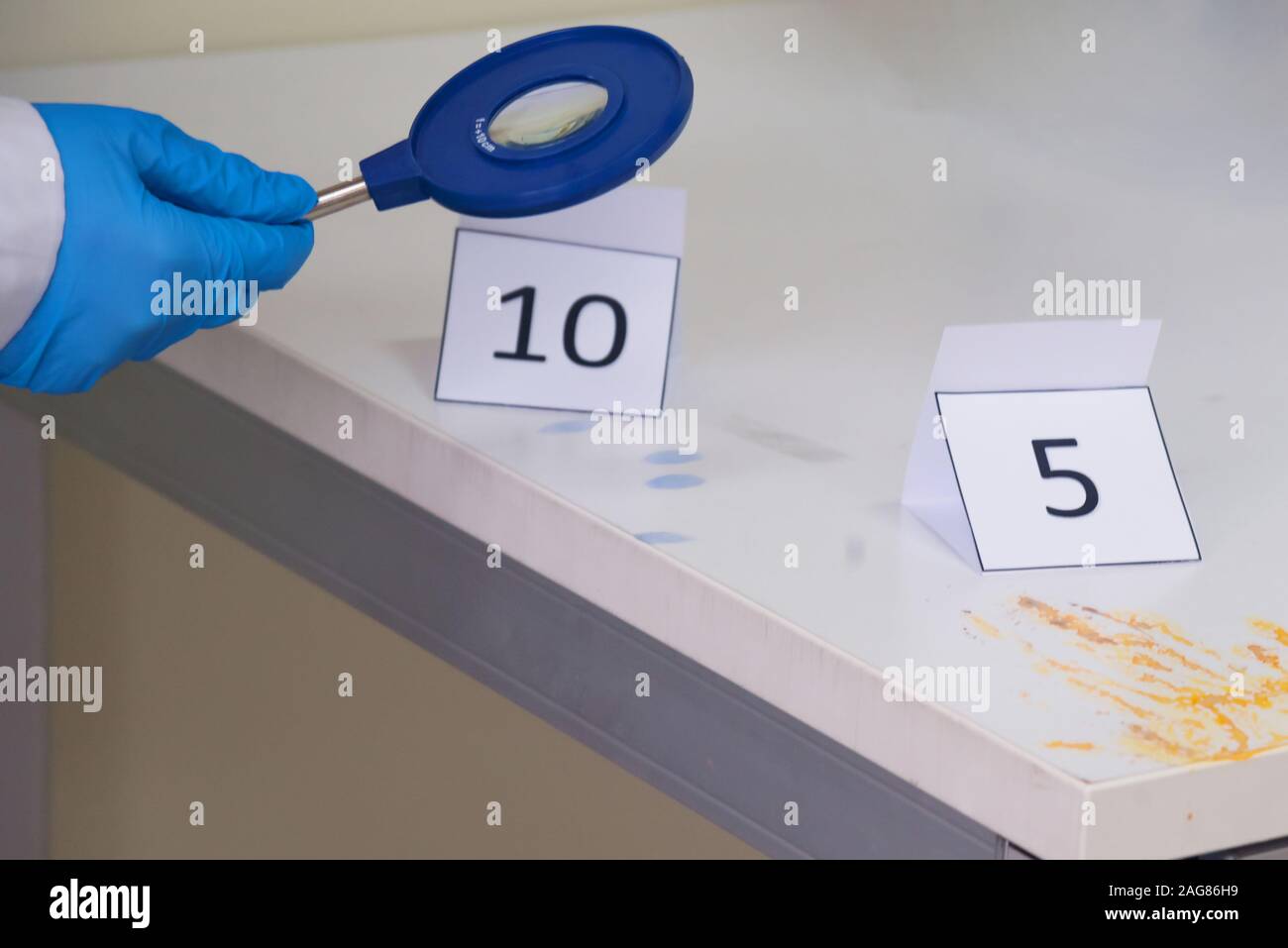 Forensic technicians taking DNA sample from blood stain with cotton ...