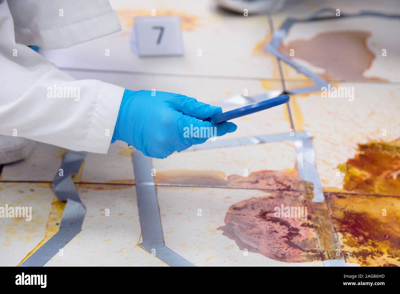 Forensic technicians taking DNA sample from blood stain with cotton ...