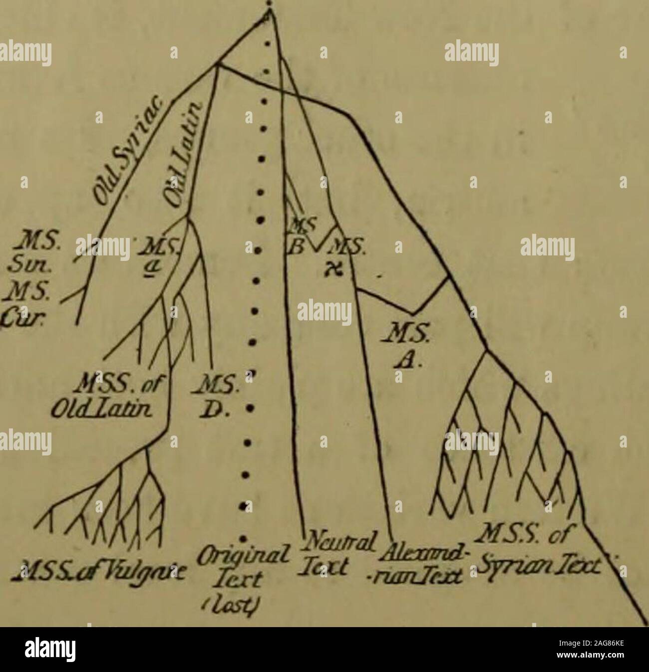 Sinaitic manuscript hi-res stock photography and images - Alamy