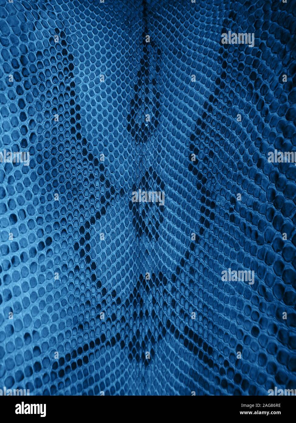 Snake skin pattern hi-res stock photography and images - Alamy