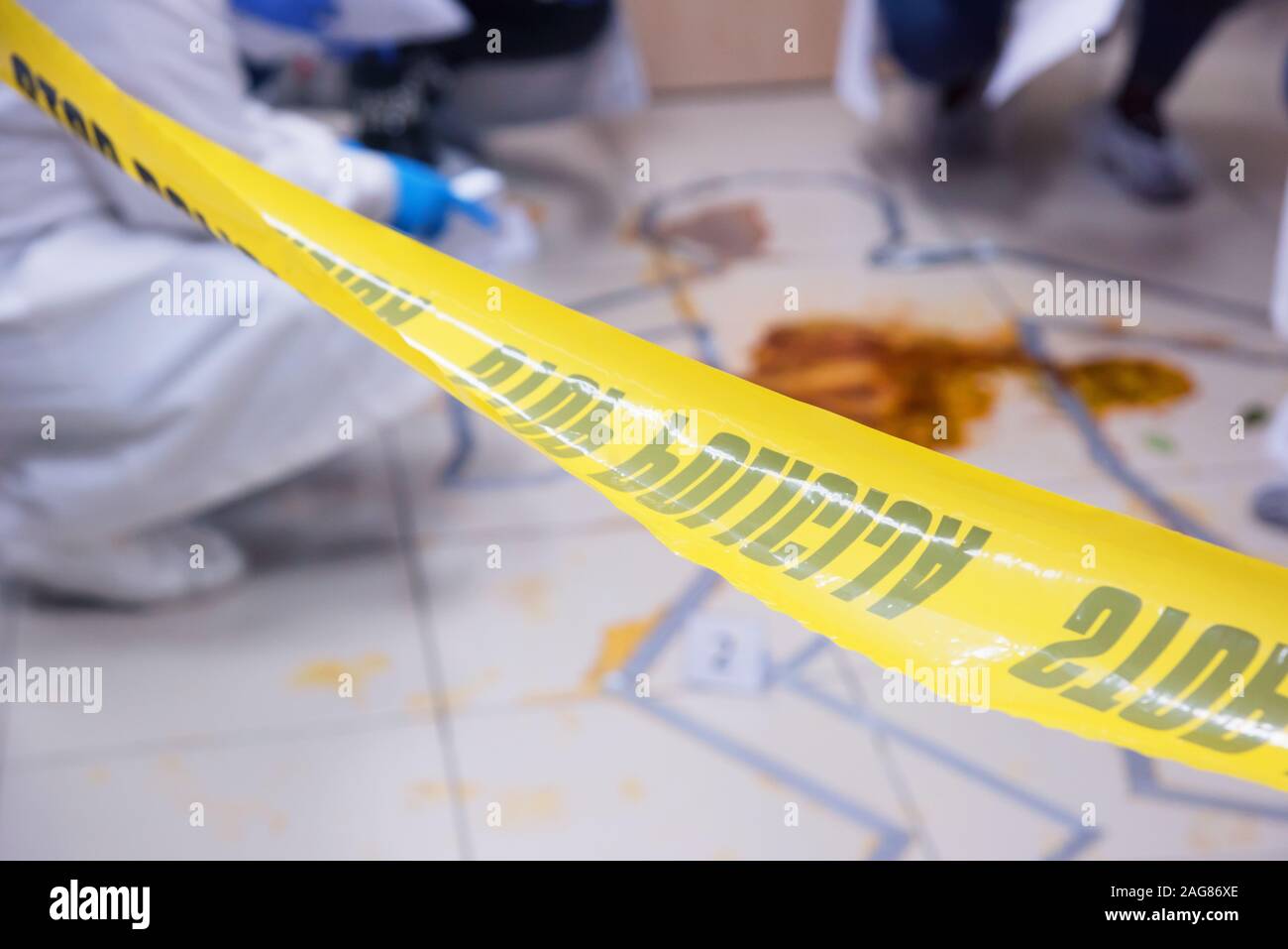 Forensic technicians taking DNA sample from blood stain with cotton ...