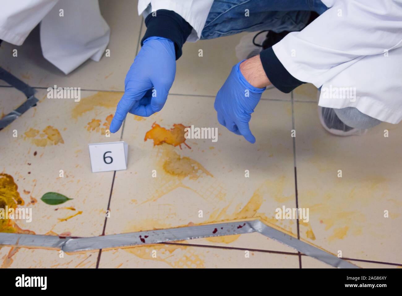 Forensic technicians taking DNA sample from blood stain with cotton ...