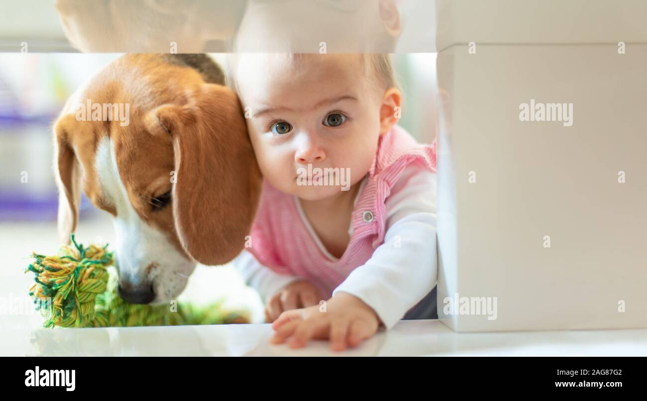 Baby looking under table hi-res stock photography and images - Alamy