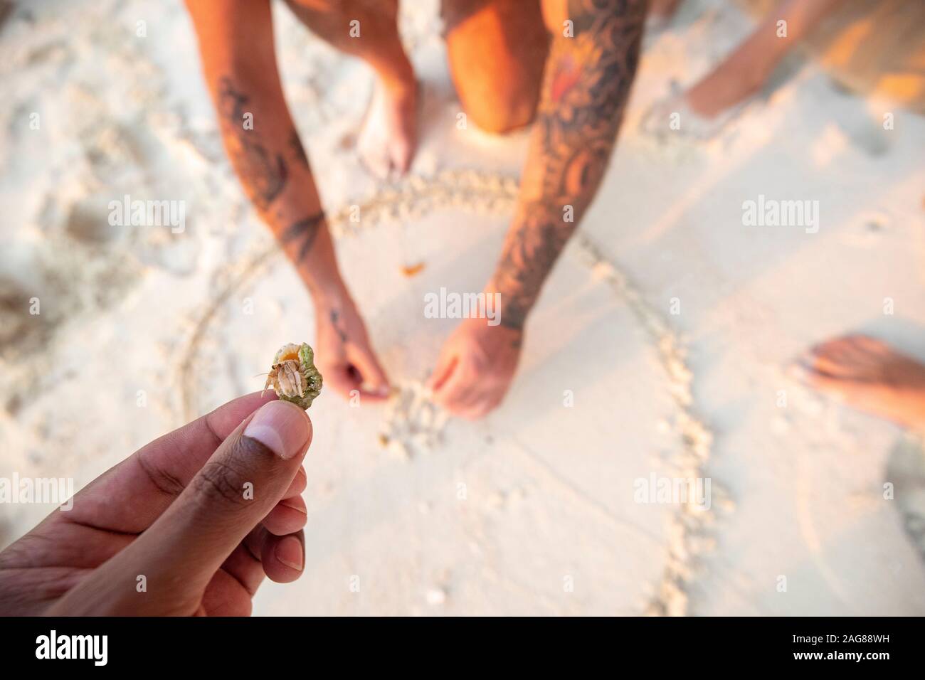 hermit crab racing setup on beach Raja Ampat Indonesia Stock Photo - Alamy