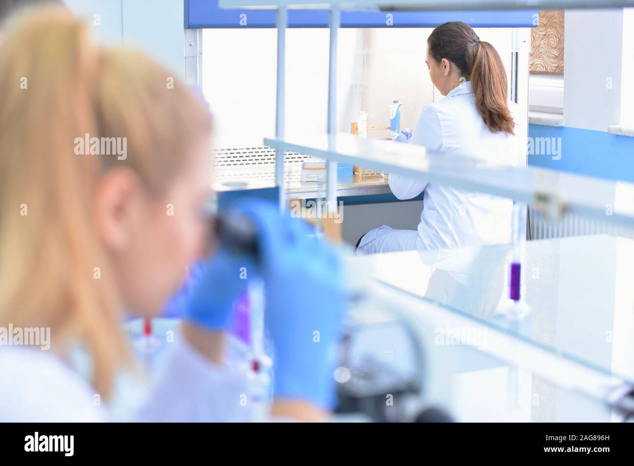 Two Young Female Laboratory scientist working at lab with test tubes ...