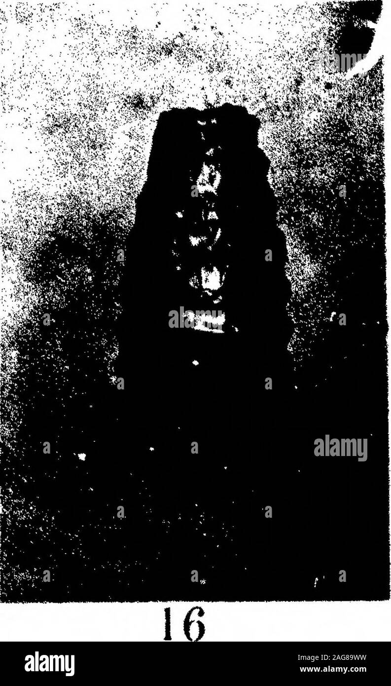 M i s x Black and White Stock Photos & Images - Alamy