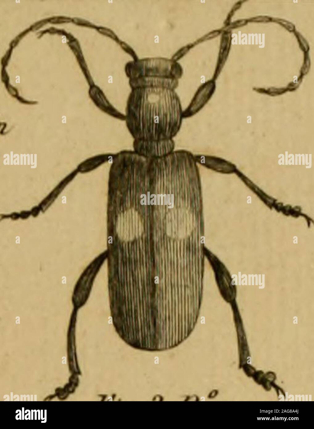 Aije hi-res stock photography and images - Alamy