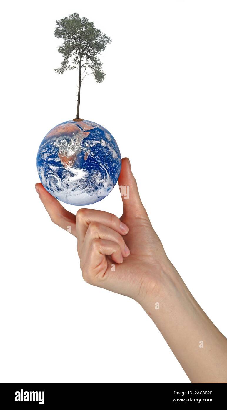 Tree on Earth as a symbol of peace.Elements of this image furnished by ...